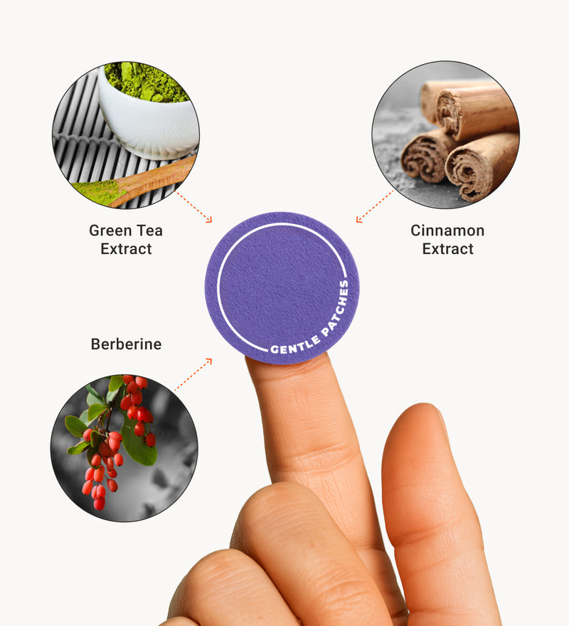 Berberine Weight Loss Patches – Gentle Patches Official Site